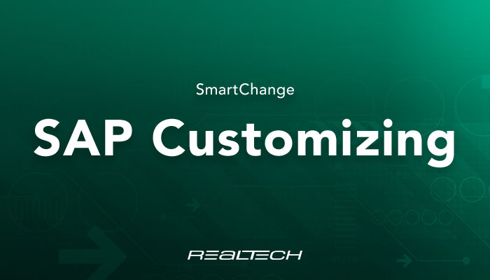 Sap Customizing Maximize Your Sap Potential